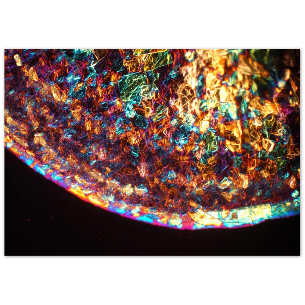 Astro Alex - als Leinwand Aludruck Poster – Art & Science